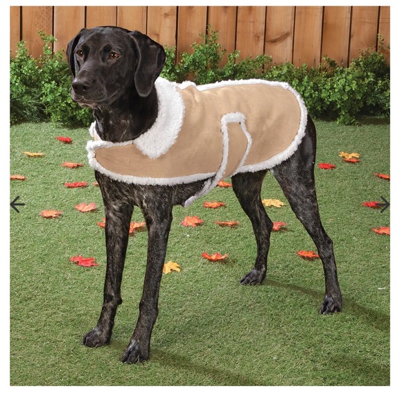 Dog | Sherpa Dog Coat Guc | Poshmark